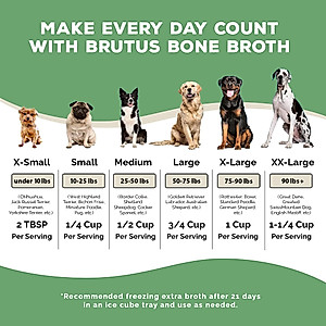 Brutus Broth Instant On The Go Vegetable Powder for Dogs - Vegetable Powder with Omegas 3, 6 & 9 & Turmeric - Human Grade Dog Food Toppers for Dry Food & Picky Eaters - 10 Stick (Salmon Flavor)