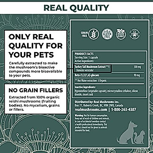 Turkey Tail Pet Support - Dog Multivitamins and Supplements for Immune Support, Gut Health & Wellness - Grain-Free, Gluten-Free, Vet-Approved Dog Supplement (90ct)