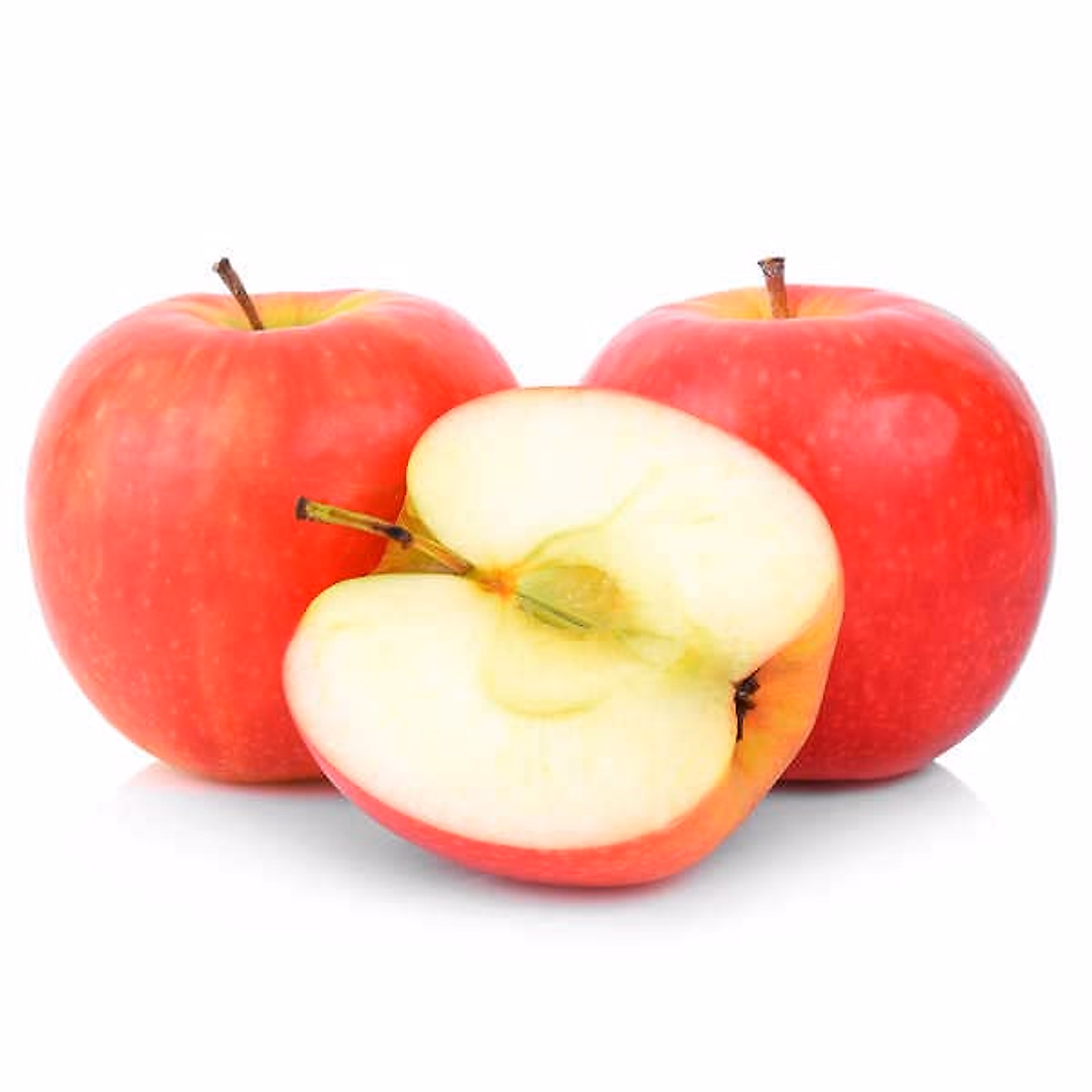 TriStar Plants - Pink Lady Apple Tree, 1 Gallon Pot - Healthy Established Roots, Young Tree, Easy Tree, Edible Fruit, Semi-Dwarf, Crisp Apple,