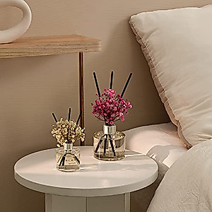 COCODOR Preserved Real Flower Reed Diffuser/April Breeze / 6.7oz(200ml) / 1 Pack/Reed Diffuser Set, Oil Diffuser & Reed Diffuser Sticks, Home Decor & Office Decor, Fragrance and Gifts