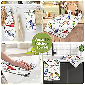 Vansolinne Birds Kitchen Towels Birds On Branch Dish Towels Set of 4 Cardinal Hummingbird Bluejay Summer Absorbent Hand Towels Tea Towels Gifts for Bird Lovers Women for Cleaning Drying Cooking Baking