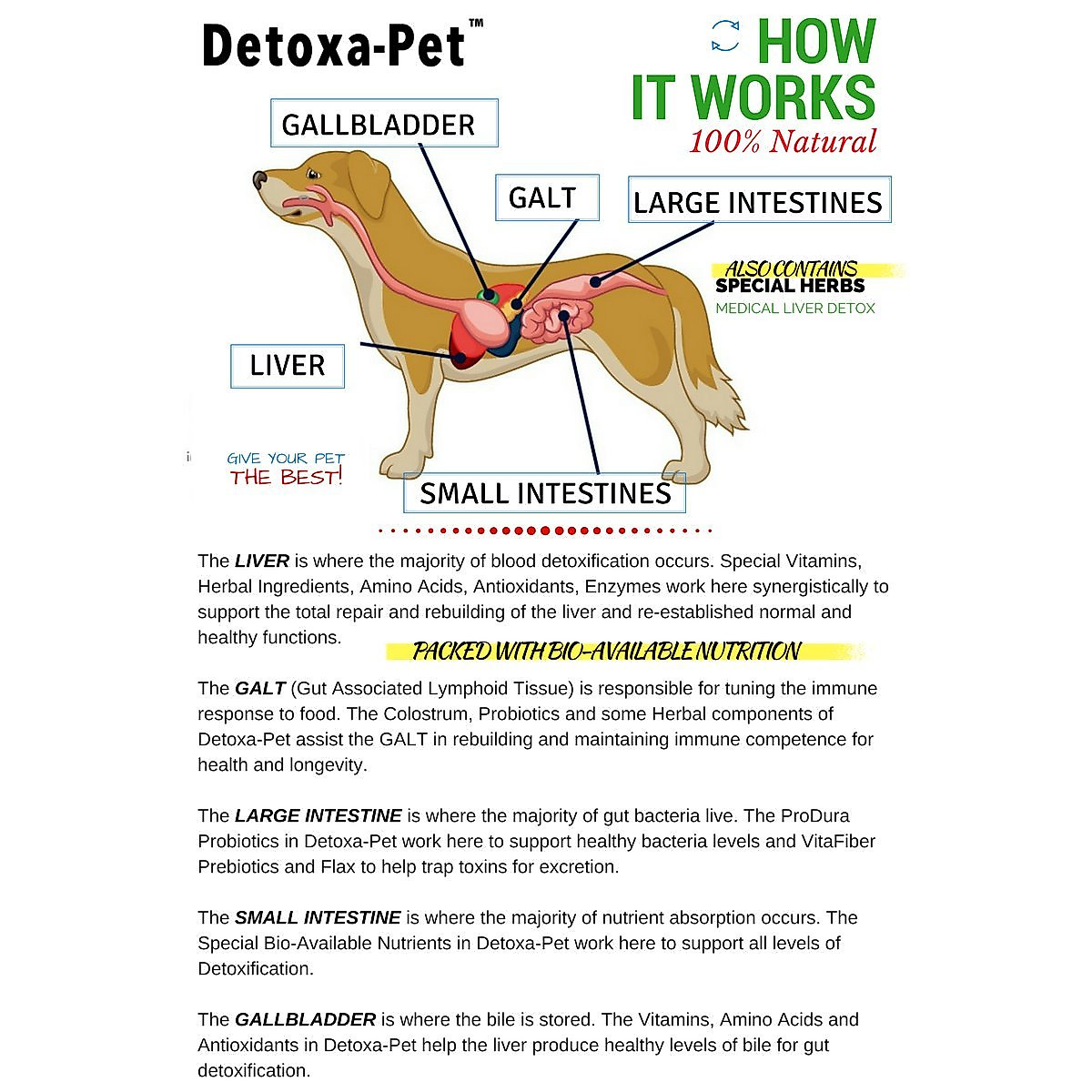 DETOXA-PET Powder, Powerful Nutritional Supplement for Pets, Works Wonders! Dog & Cat Detox, Liver Detox for Dogs, Cats,10 Bill CFU Probiotics, Enzymes, Herbs, Vitamins, Minerals, Immediate Benefits!