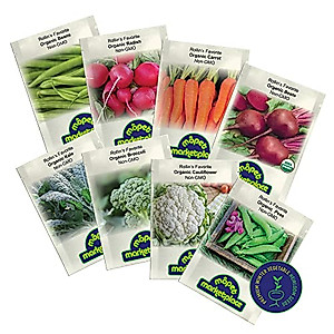 Organic Winter Vegetable Seeds Heirloom Seeds for Planting, Green Beans, Beets, Broccoli, Carrot, Cauliflower, Kale, Peas, Radish - Môpet Marketplace