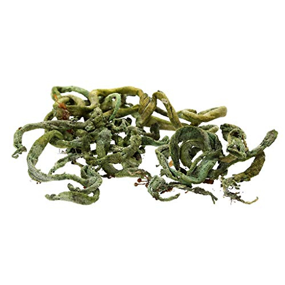 Biostretch Extra Wide Tree Ties and Large Plant String | Environmentally Smart Soft Green Plant Support and Garden Twine (Bio Extra Wide 26 ft / 8M)