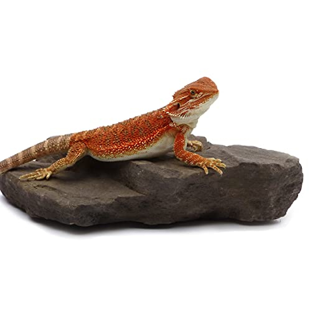 Carolina Custom Cages Natural Habitat Rocks, Deep Maroon, Medium Size Pair