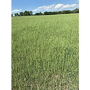 FPS Fox Peak Timothy Hay Rabbits, Guinea Pigs, Chinchilla Food (10+ lb.)