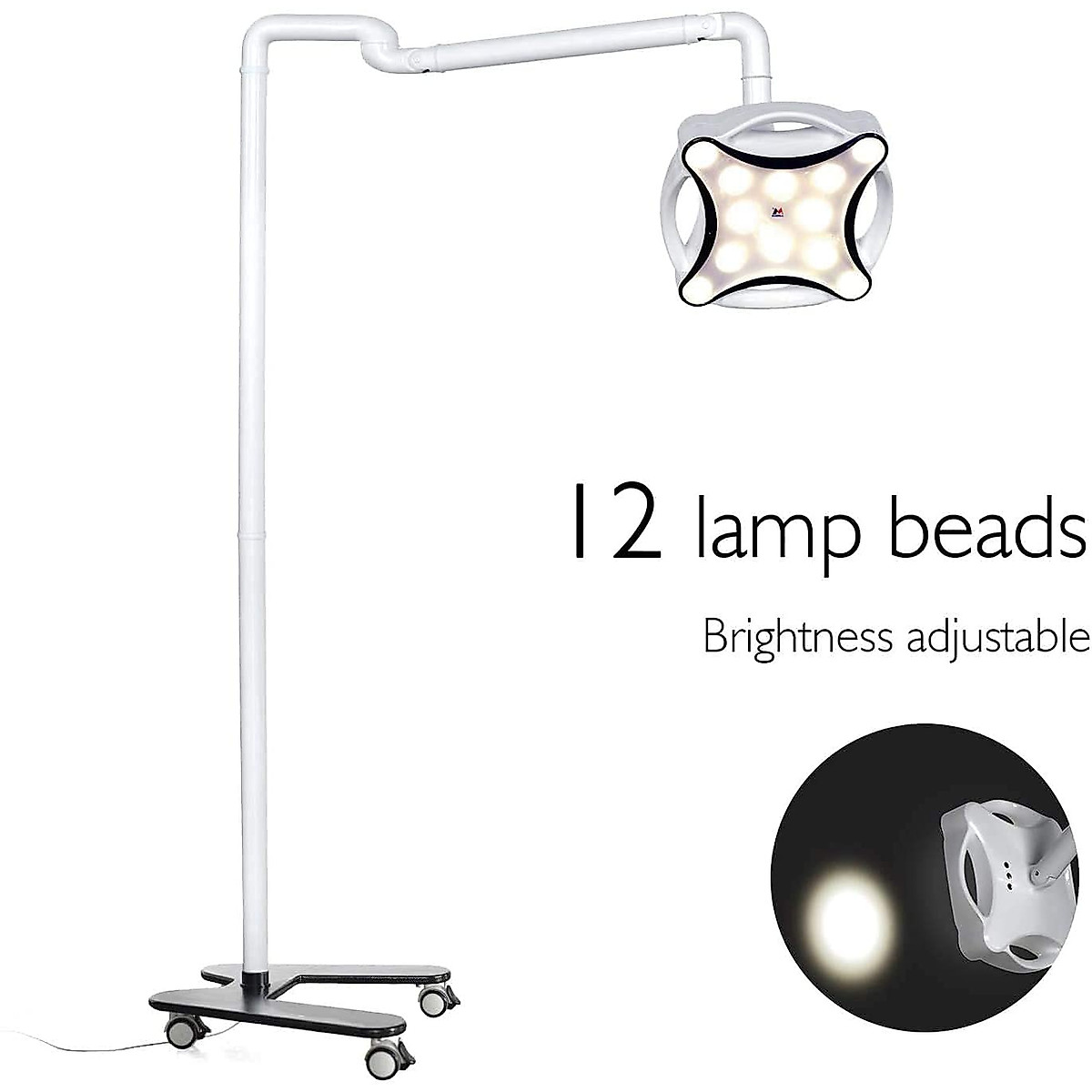 EustomA 30W LED Shadowless Light Mobile Type Portable Auxiliary Floor Lamp LED Cold Lamp with 12PCS High Power Light Sources