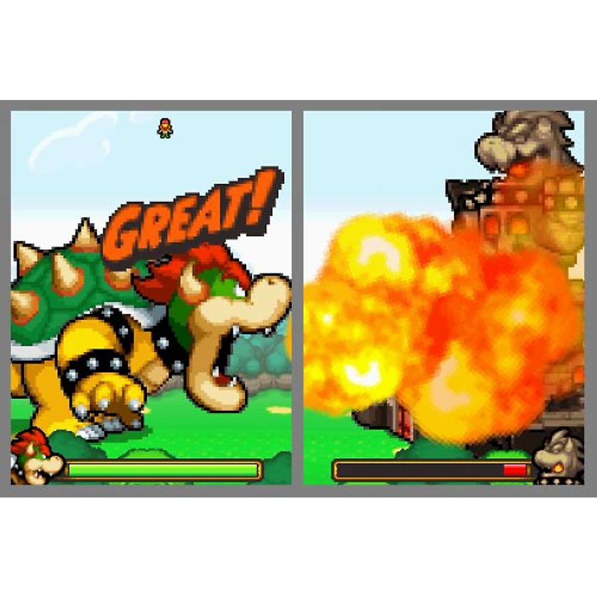 Mario & Luigi Bowser's Inside Story