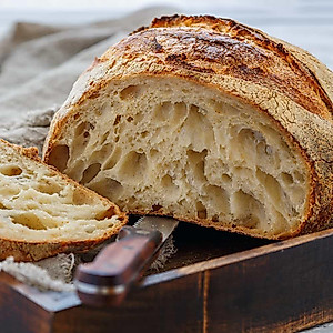 Hoosier Hill Farm Dry Malt (Diastatic) Baking Powder,1.5LB (Pack of 1)