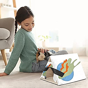 Y-DSIWX Guinea Pig Hideout House Bed, Art Pattern Rabbit Cave, Squirrel Chinchilla Hamster Hedgehog Nest Cage