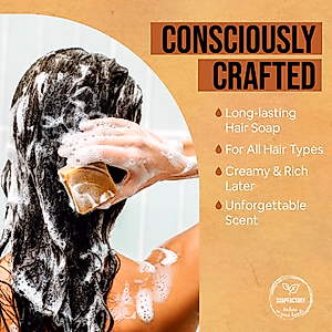 SoapFactory Ayurveda Solid Shampoo Bar with Castor Oil for Hair Growth, Ayurvedic Organic Hair Soap for Men and Women, 100% Natural, Vegan, 3 ounce