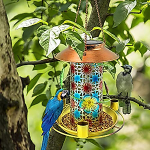 MIXXIDEA Solar Bird Feeder for Outdoors Hanging Waterproof Wild Cardinal Bird Feeders Heavy Duty Solar Powered Garden Lantern Bird House Feeder with Light for Bird Lovers - 2 Lb Seed Capacity