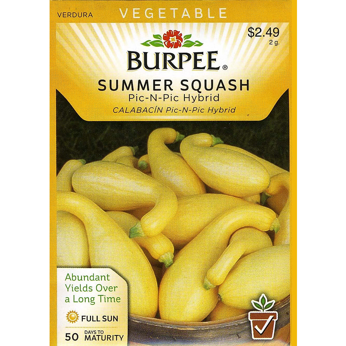 Burpee Seeds, Burpee Squash Summer Hybrid, 1 Count