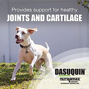 Nutramax Dasuquin Joint Health Supplement for Small to Medium Dogs - With Glucosamine, Chondroitin, ASU, Boswellia Serrata Extract, Green Tea Extract, 150 Chewable Tablets