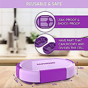 Beneflix Bento lunch box for kids Leak-Proof, 6-Compartment - Ideal Portion Sizes for Ages 3 to 7 - BPA-Free, Dishwasher Safe, Food-Safe Materials