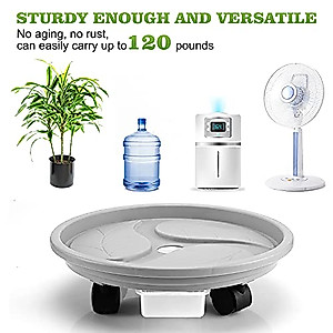 Looca Plant Caddy with wheels and Drainage Tray, 13”Rolling Plant Stand Flower Pot Mover, Planter Caddies Round Plant Dolly for Heavy Duty Planter, 3 Pack, Bearing 120 lbs