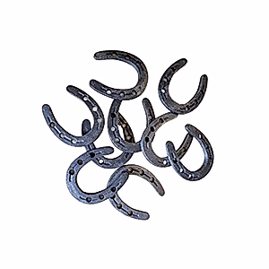 Carver's Olde Iron Zinc Mini Horseshoes (Perfect Holes) 50 pc Set Decoration and Crafts 2" x 1 3/4" w/Token