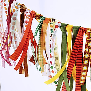 Supla 18 Rolls Fall Ribbons Bulk Trims Printed Grosgrain Ribbons Multicolor Satin Ribbons Organza Ribbons Velvet Ribbon 3/8" Wide for Craft Gift Wrapping Autumn Holiday Wedding Festival Season Party