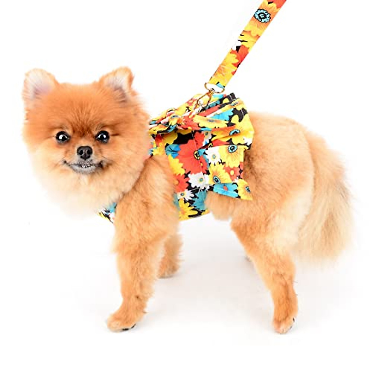 SMALLLEE_LUCKY_STORE Dog Floral Harness Dress with Leash Set,Bow Puppy Princess Dress for Small Medium Dog Cat Girls Adjustable Pet Skirt with D-Ring Female Dog Clothes Summer Apparel,Orange,L