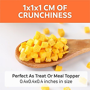 Happy Olly Pumpkin Treats for Dogs Digestion 2oz - Freeze Dried Pumpkin Treats/Topper, Reduce Dog Diarrhea and Scotting - Natural Single Ingredient Pure Pumpkin for Dogs - Prebiotics & Fiber