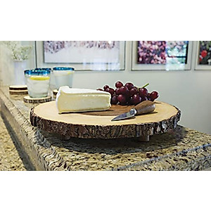 Lipper International Acacia Tree Bark Footed Server for Cheese, Crackers, and Hors D'oeuvres, Large