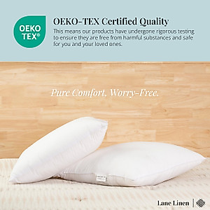 18 x 18 Throw Pillow Insert - Pack of 2 White Throw Pillows, Down Alternative Pillow Inserts for Decorative Pillow Covers, Throw Pillows for Bed, Couch Pillows for Living Room