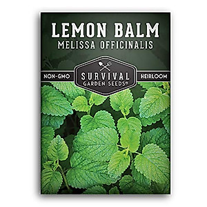 Survival Garden Seeds - Lemon Balm Seed for Planting - Packet with Instructions to Plant and Grow Melissa Officinalis in Your Home Vegetable Garden - Non-GMO Heirloom Variety