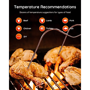 Govee Wireless Meat Thermometer, Bluetooth Meat Thermometer for Smoker Oven, Digital Grill Thermometer with 4 Probes, Remote App Timer Mode, Smart BBQ Thermometer for Cooking Turkey Fish Beef