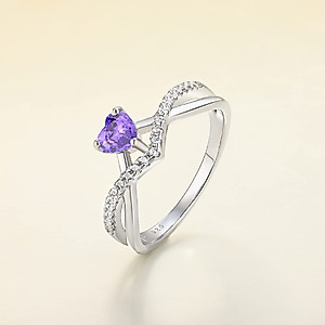 STARCHENIE Infinity Promise Ring 925 Sterling Silver Celtic Knot Birstone Ring for Women,Heart Amethyst February Birthstone Anniversary Engagement Ring Size6