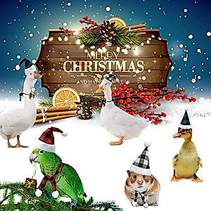 CooShou 12Pcs Christmas Pet Chicken Hat Scarf Bowtie Set Mini Santa Plaid Hat Scarf Xmas Small Animal Red Green Gray Hat with Adjustable Chin Strap for Hen Bunny Guinea Pig Hamster