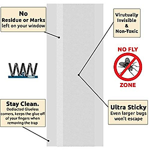 W4W Flies & Bug Window Fly Trap - Indoor / Outdoor Non Toxic Clear Window Fly Traps - 16 Pack