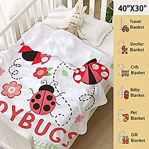 Ladybug Blanket Gifts for Women - Really Like Ladybugs Flannel Fleece Blanket- Red Ladybug Throw Blanket Super Soft Warm Cozy Bed Couch or Car Animal Lover Gifts to Kids Women 40"x30" for Pets