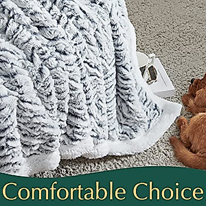 jinchan Wearable Blanket Sherpa Hooded Blanket Couch Throw Blanket Grey Hoodie Blanket Adult Soft Spring Blanket Twin Size Gray Bed Blanket Cozy Gift 50x70 inch