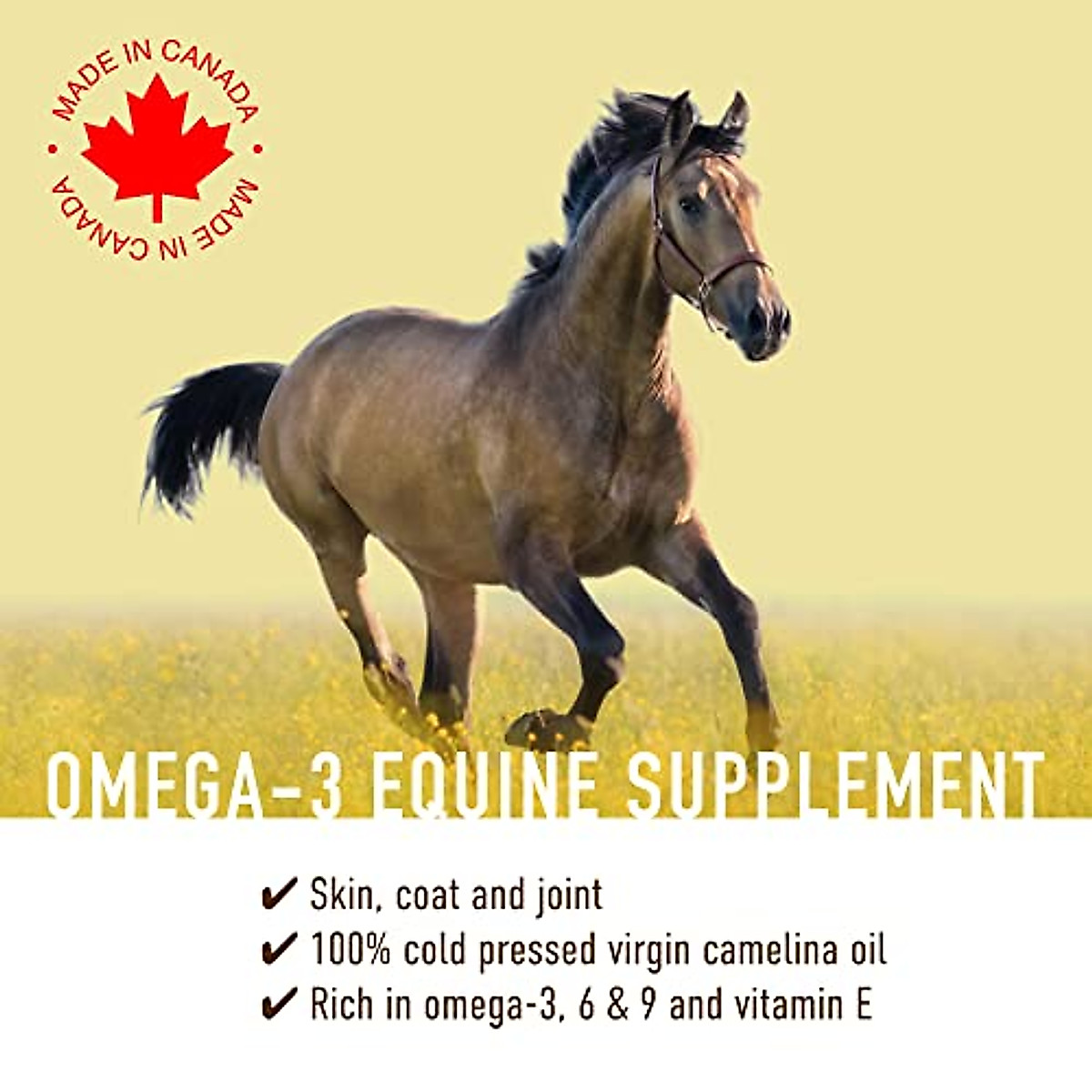 Virgin Camelina Oil for Equine, Dogs and Cats, 1 Gallon, Rich in Omega-3, 6, 9, Vitamin E, Fatty Acids. 100% Pure & Cold Pressed. Supports Skin, Coat, Joint Health. Product of Canada