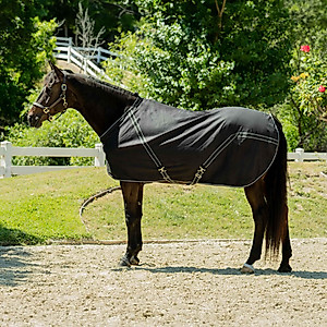 Equinavia Fryd Cotton Stable Blanket for Horses | No Fill Cotton Sheet with Wither Relief - Black - 78 in