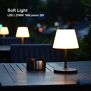 LOTITOL Outdoor Table Lamp/Cordless USB Rechargeable 4000mAh / 2700K LED/Touch Dimmable/Portable Battery Operated / IP44 Waterproof/PE Shade/Bedroom Dinning Camping Patio (9.6in, Wood Grain)