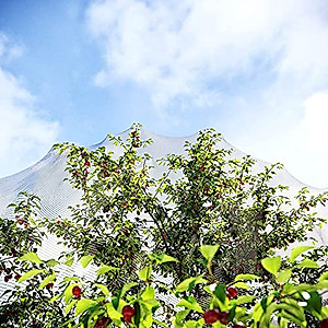 De-Bird Garden Fencing 7.5 x 65 ft Heavy Duty Bird Netting for Garden Protection Plastic Fence - Deer Fence Garden Netting Pest Barrier, Rabbit Fence, Flower Bed Fencing, Garden Fence Animal Barrier