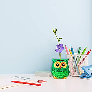 6 Sets DIY Ceramic Owl Succulent Pots Figurines Paint Craft Kit Unpainted Ceramic Bisque Paintable Owl Ceramic Flowerpots with Drainage Hole Ready to Paint for Kids Classroom Craft Project Acticity
