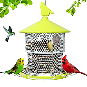 Metal Bird Feeder Clearance,Hanging Bird Feeders for Outside Wild Birds, Squirrel Poorf, Heavy Duty,6 Perches, 4 lbs Capacity for Cardinals, Finches, Blue Jays-Silver Green