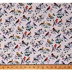 Elizabeth Studios Cotton Birds Flowers Plants Blossoms Tweethearts Blue Bird Floral Nature Cream Cotton Fabric Print by The Yard (40001-CREAM), 44 Inches