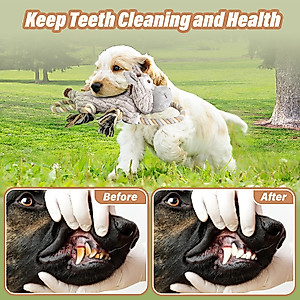 Large Squeaky Dog Toys for Aggressive Chewers,Interactive Tug of War Puppy Toys with Pull Rope,Tough Plush Pet Dog Chew Toys for Small, Medium and Big Dogs