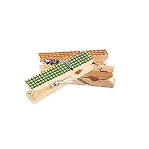 50Pcs Mini Clothespins, Colorful Wooden Clothespins Photo Paper Peg Craft Clips Small Picture Clips for Wall Hanging Pictures