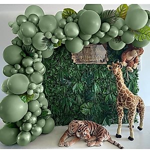 Sage Green Balloons Double Stuffed Balloons Garland Different Sizes 18 12 5 Inch Olive Green Balloons Jungle Green Balloon Arch Kit for Birthday Safari Baby Shower Gender Reveal Bridal Boho Party
