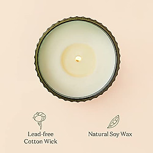 LA JOLIE MUSE Fir & Cedarwood Scented Candle - Candles Gift for Holiday, Green Candles for Home Scented, Natural Wax, 80 Hours Long Burning, Starlit Golden Fir