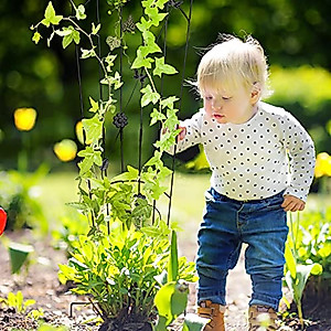 XYADX Meta Detachable Trapezoidal Garden Trellis for Climbing Plants 60 Inches Sturdy Black Patio Plant Support for Indoor Plants Trellis for Rose, Vegetable Flower, Backyard Pack of 2 - Black