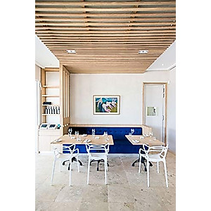 2xhome Set of 2 Stackable Contemporary Modern Designer Plastic Dining Chairs, Open Back Chairs for Indoor or Outdoor Use, White