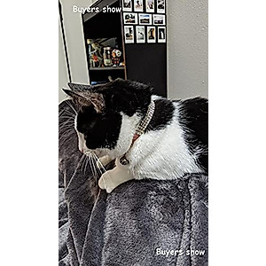 CHUKCHI Soft Velvet Safe Cat Adjustable Collar Bling Diamante with Bells,11 inch for Small Dogs and Cats (Pink)