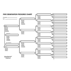 Five Generation Pedigree Charts for Genealogists (7-pack) | Archival-Quality Genealogy Forms for Ancestry