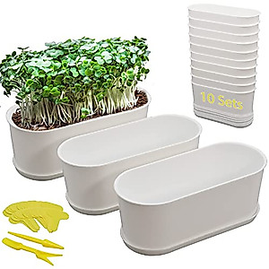 Plant Window Box with Saucers 10 Sets Plastic Planters with Multiple Drainage Holes and Trays Flower Pots for Home Garden Succulents Modern Decorative Window Planter Box Gardening Pot Plant Container