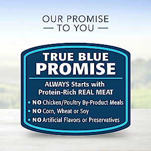 Blue Buffalo Delights Natural Adult Small Breed Wet Dog Food Cups, in Gravy, Filet Mignon & New York Strip 3.5-oz (24 Count - 12 of Each Flavor)